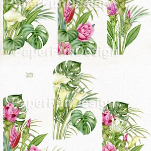 Tropical Bundle Clipart. Watercolor Painted Individual High-resolution ...