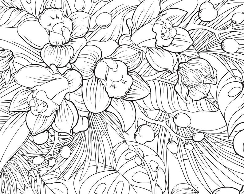 PDF JPEG Printable Adult Coloring Page. Botanical Printable - Etsy