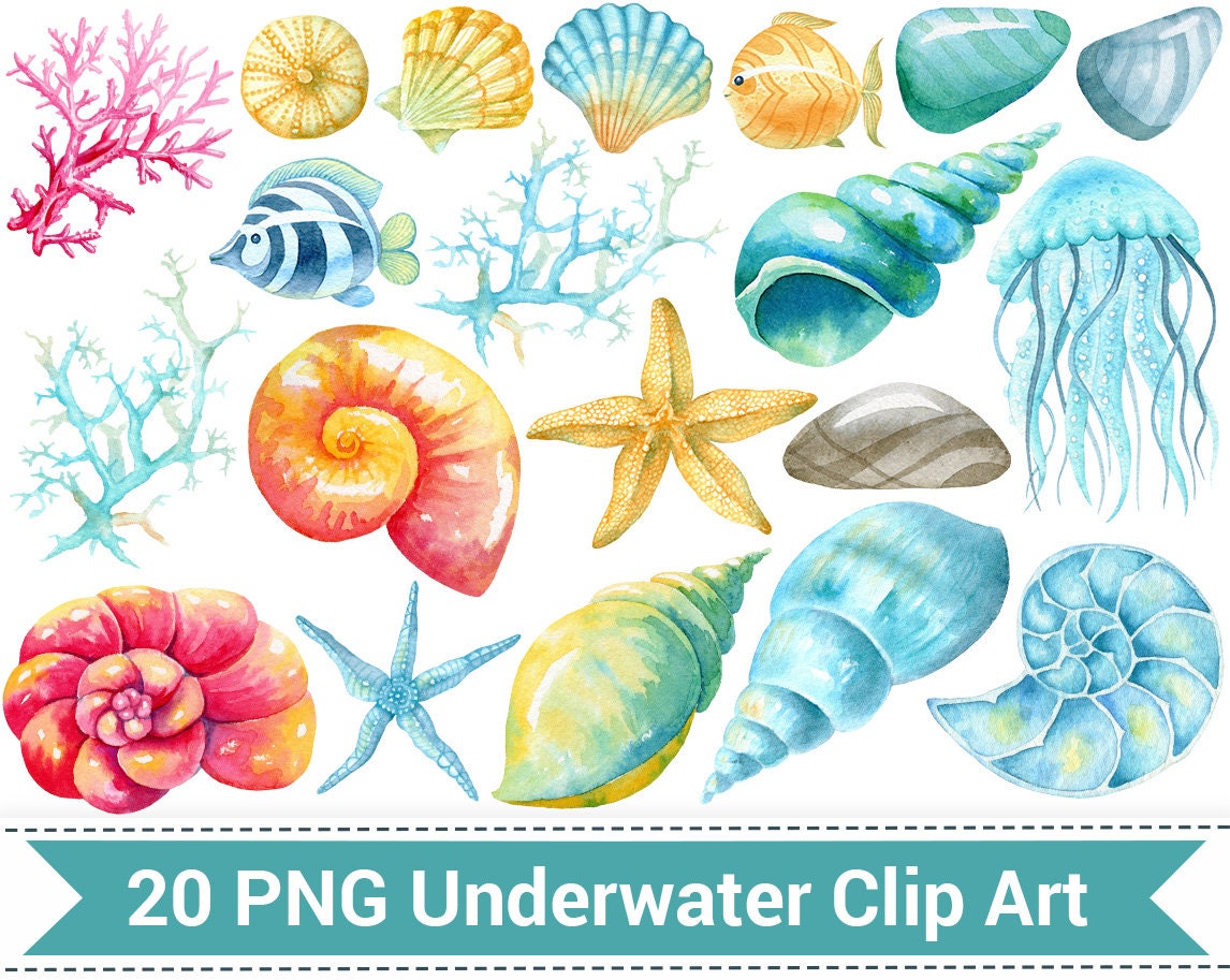 Nautical Clipart. Watercolor Underwater Clip Art Sea - Etsy