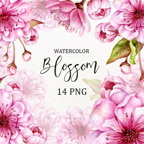 Watercolor Cherry Blossom Clipart Sakura Flowers Clip Art. - Etsy