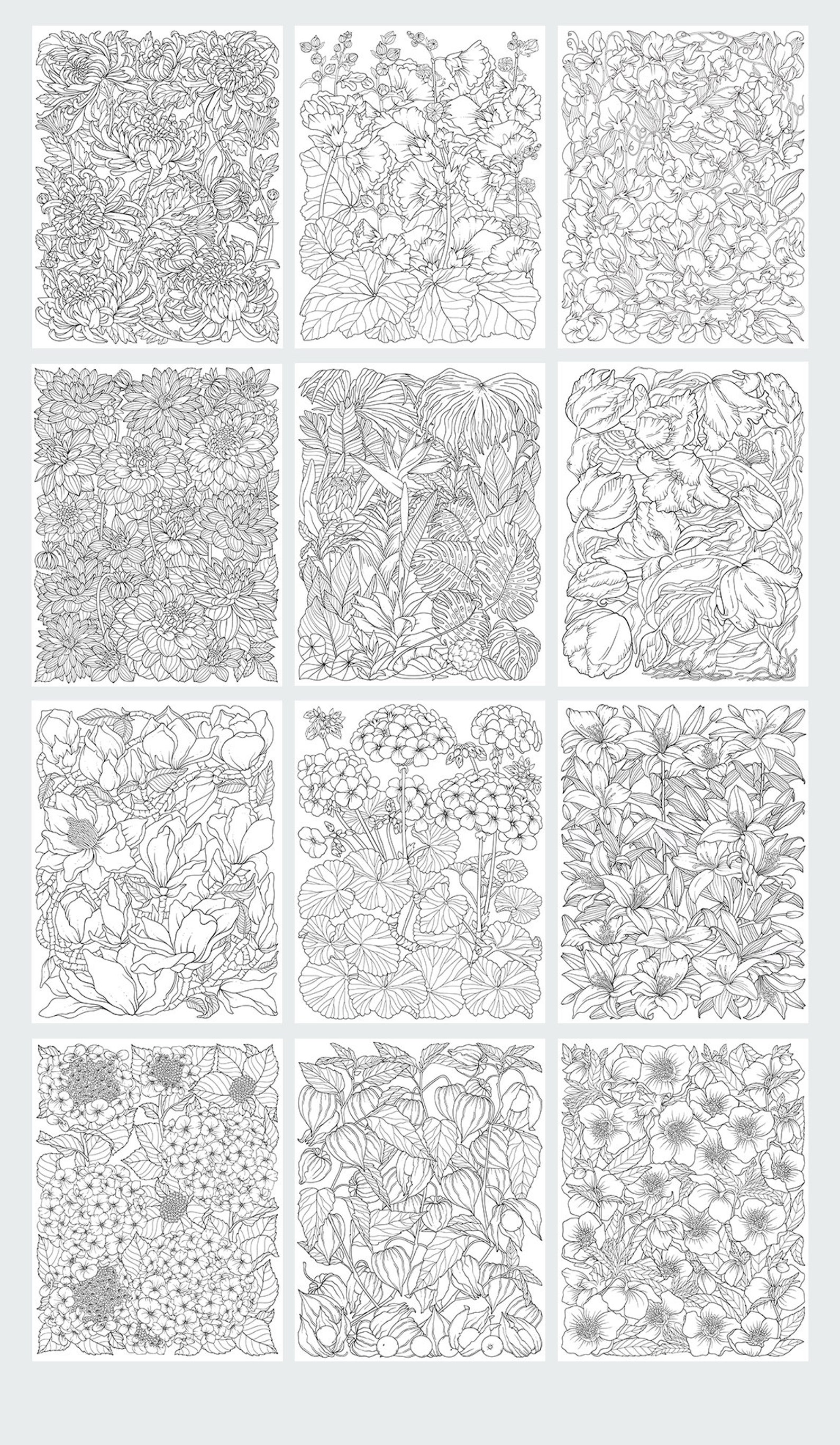 PDF Digital Adult Coloring Book Floral Arrangements | Etsy