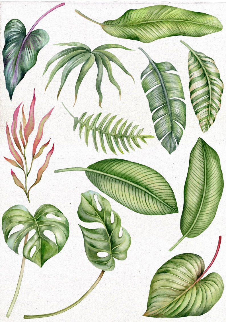 Tropical Bundle Clipart. Watercolor Painted Individual - Etsy