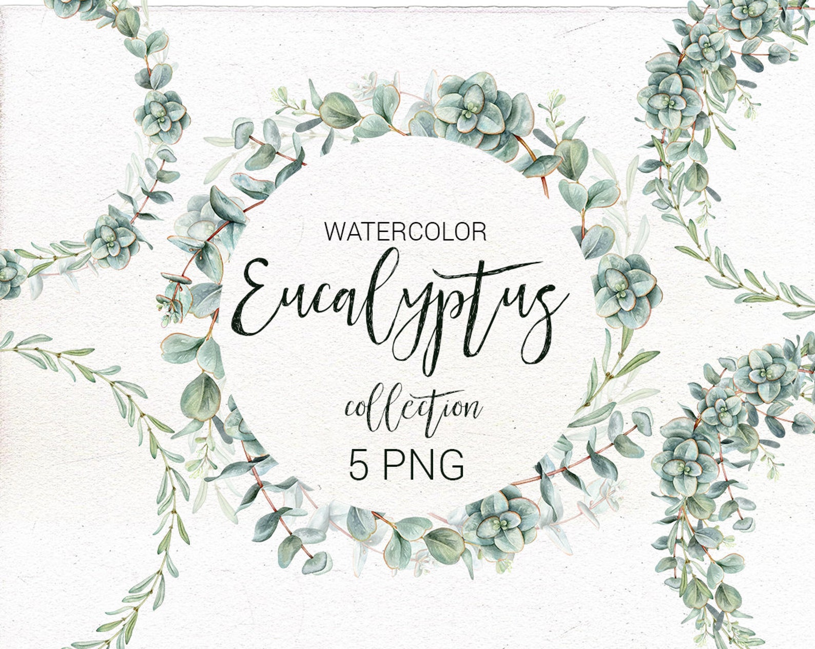 Watercolor Eucalyptus Wreath, Frame. Greenery Clip Art, Eucalyptus ...