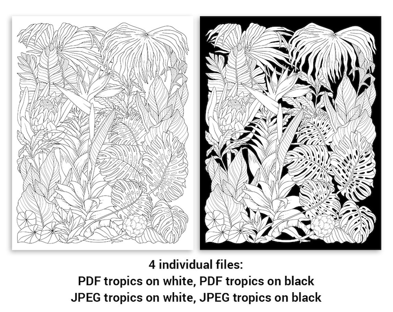 PDF JPEG Digital Adult Coloring Tropical Page Botanical - Etsy