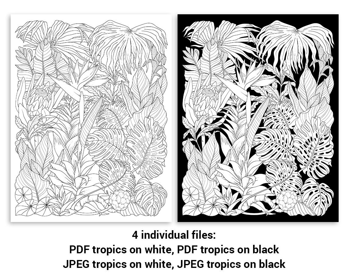PDF, JPEG Digital Adult Coloring Tropical Page, Botanical Printable ...