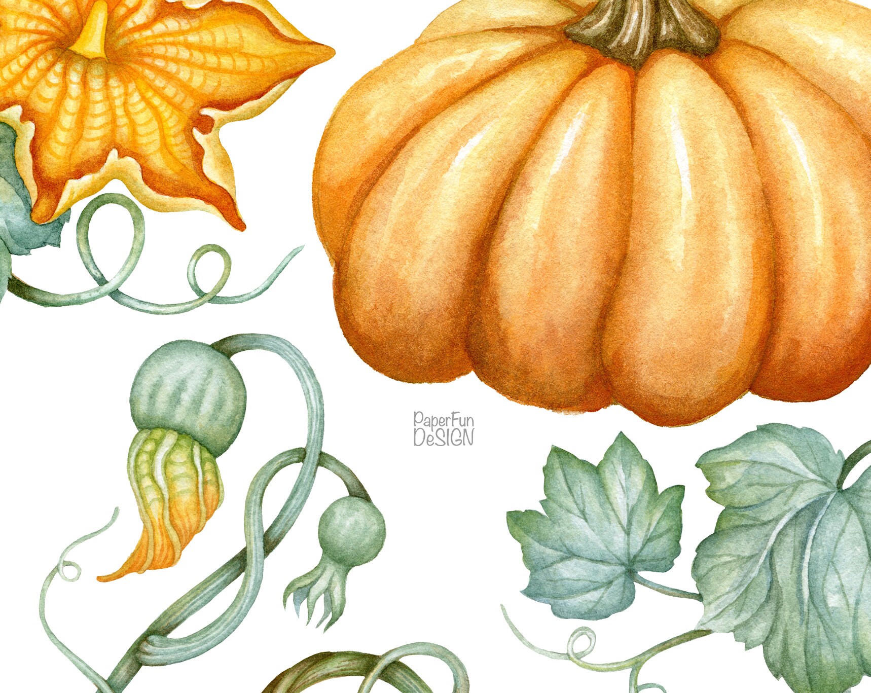 Watercolor Pumpkin Clip Art. Thanksgiving Autumn Clip Art. - Etsy