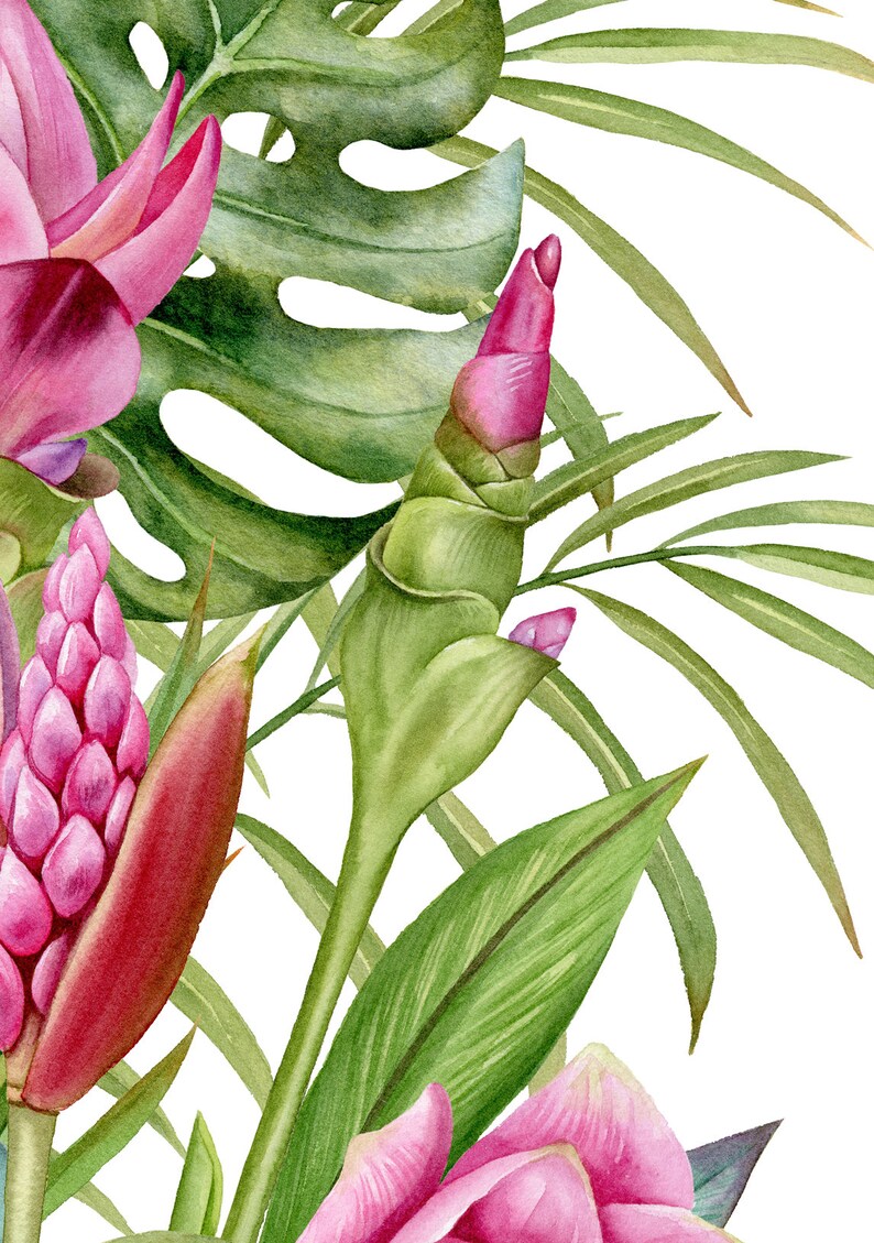 Tropical Bundle Clipart. Watercolor Painted Individual - Etsy