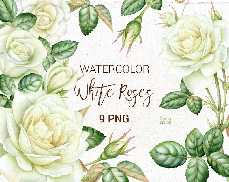 Watercolor white roses clip art. Hand painted wedding vintage | Etsy