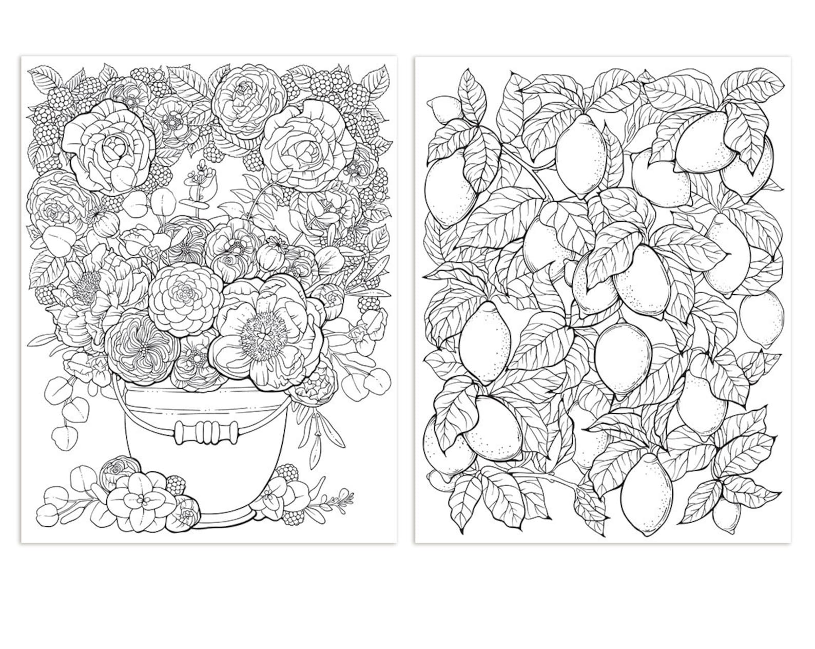 PDF JPEG Digital Adult Coloring Book Floral Arrangements - Etsy