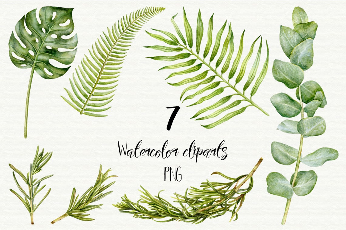 Greenery Clip Art Watercolor Tropic Leaves Eucalyptus - Etsy