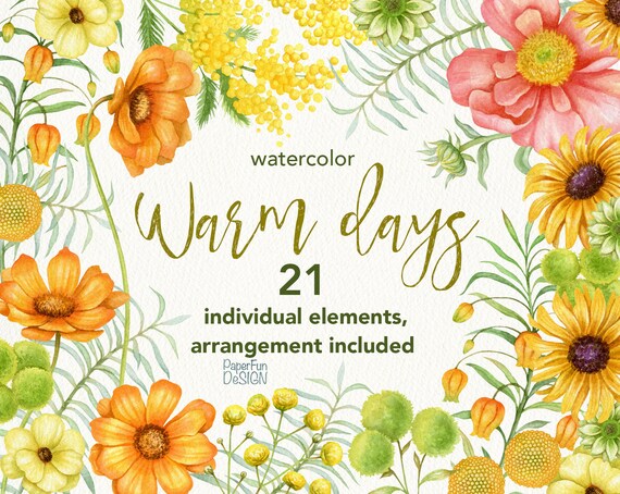Watercolor Yellow Flowers Clip Art. Orange Summer Spring - Etsy UK
