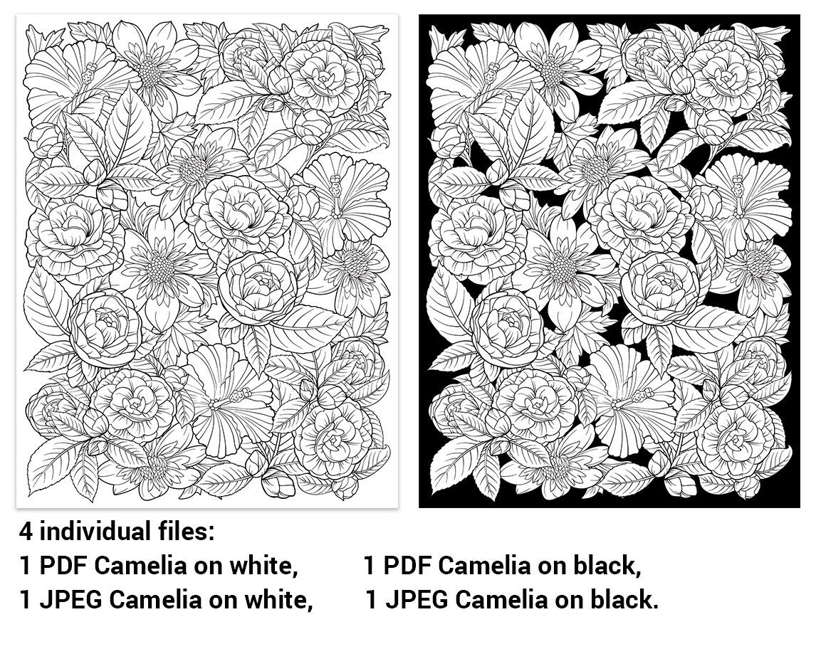 PDF JPEG Printable Camellia Flowers Adult Coloring Page. - Etsy