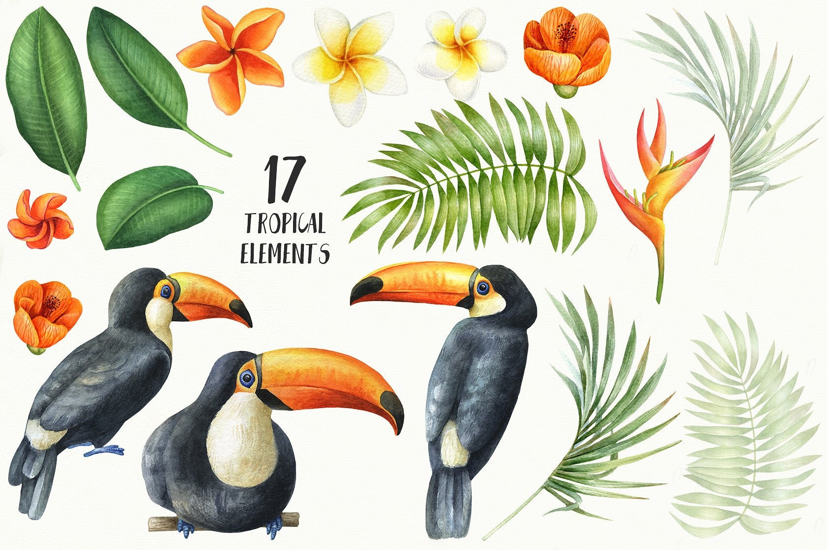 Watercolor Tropical Clipart Tropic Birds Florals - Etsy
