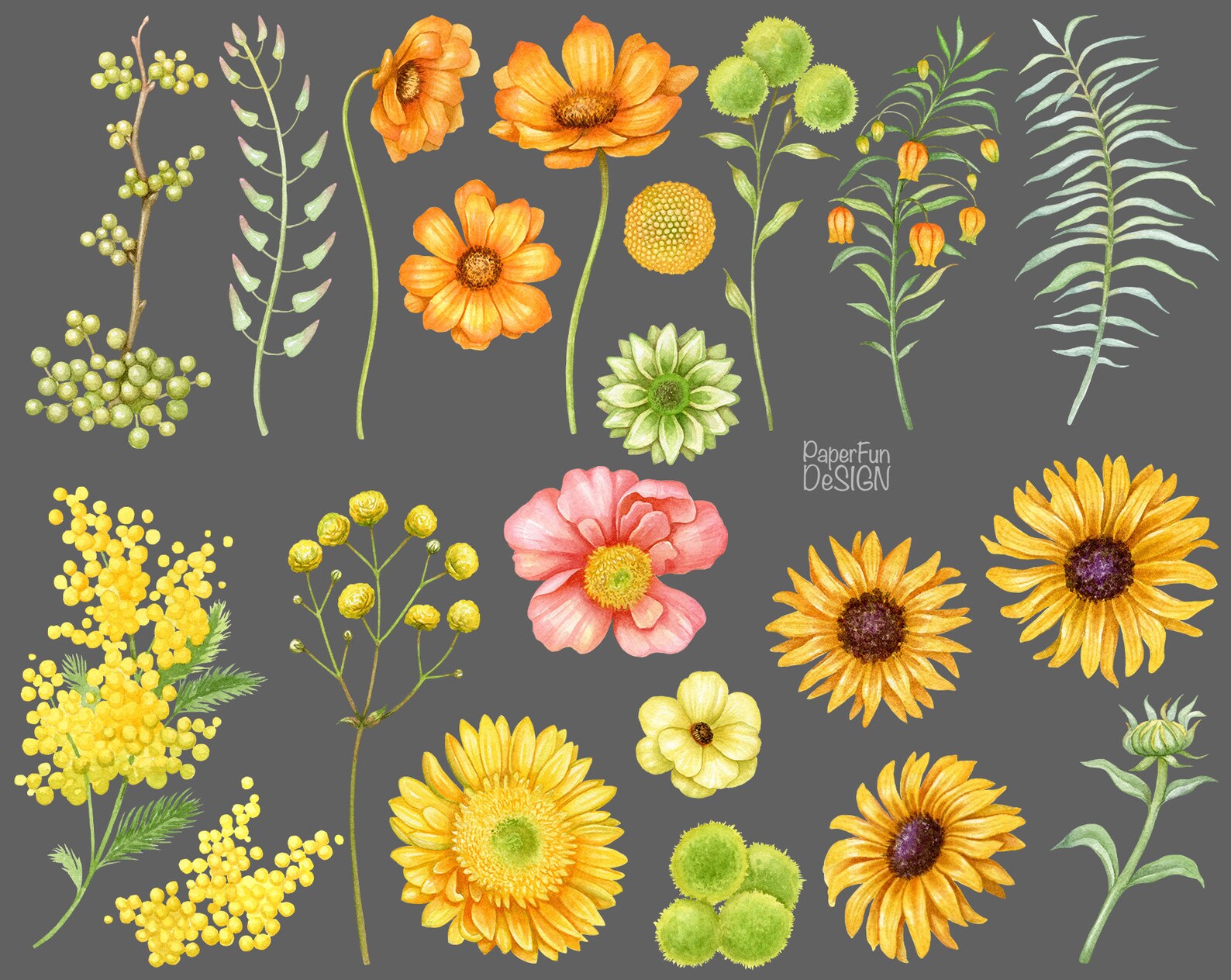 Watercolor Yellow Flowers Clip Art. Orange Summer Spring - Etsy