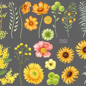 Watercolor Yellow Flowers Clip Art. Orange Summer Spring Flower, Field ...