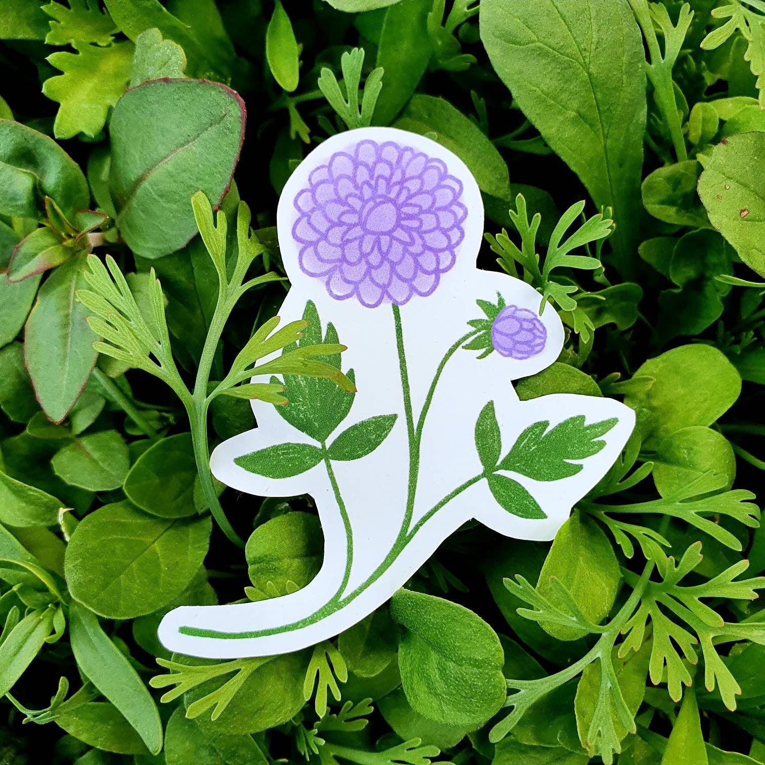 Queer Flowers Vinyl Stickers LGBTQIA Pride | Etsy