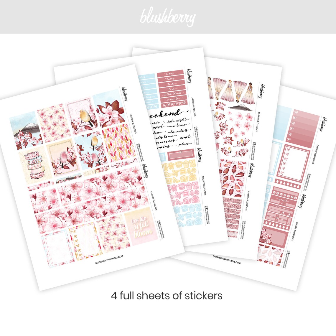 Cherry Blossoms Planner Stickers Spring Weekly Kit Printable - Etsy
