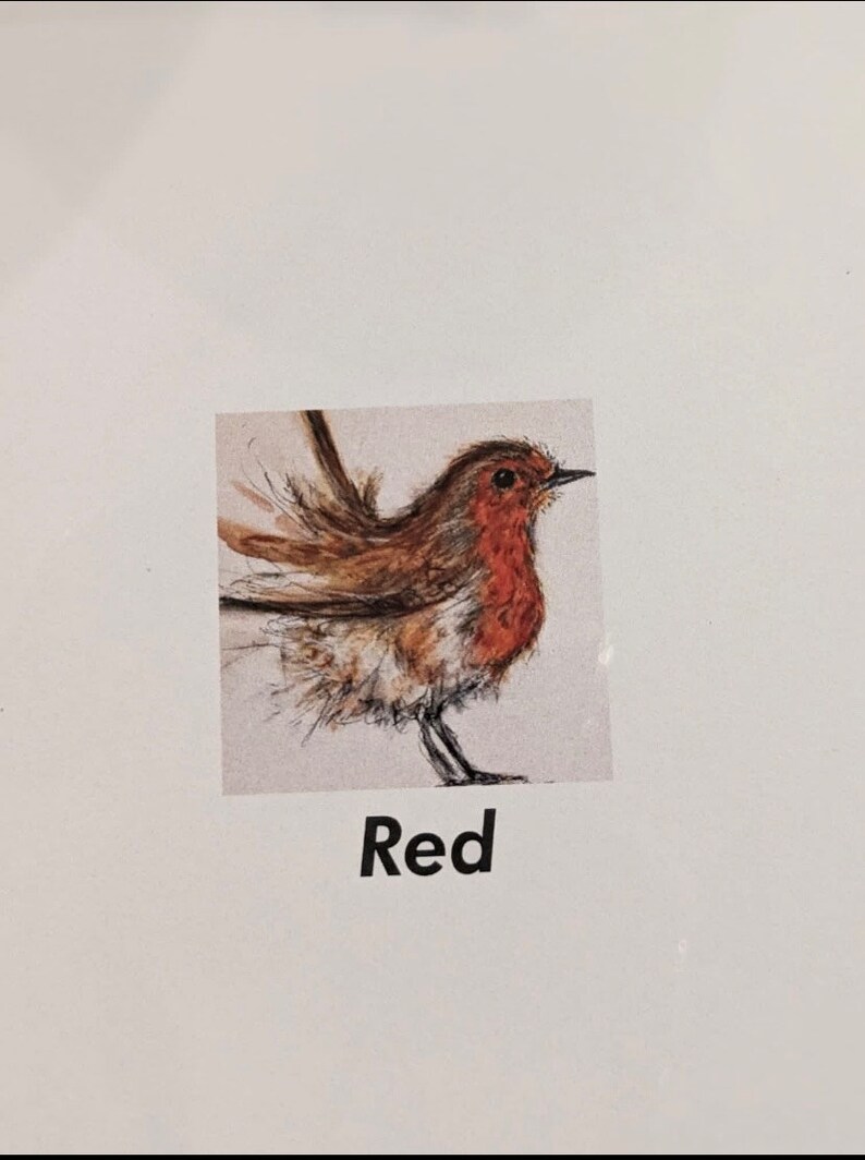 Pack of 6 X 'red' Robin Christmas Cards , Animal Themed, Holiday ...