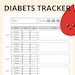 Weekly Diabetes Record PDF Printable Diabetes Tracker Sheet Insulin ...