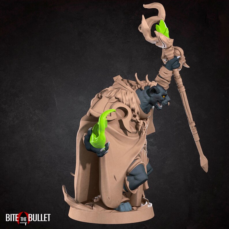 Tabaxi Warlock Catfolk Necromancer Wizard bite the Bullet - Etsy