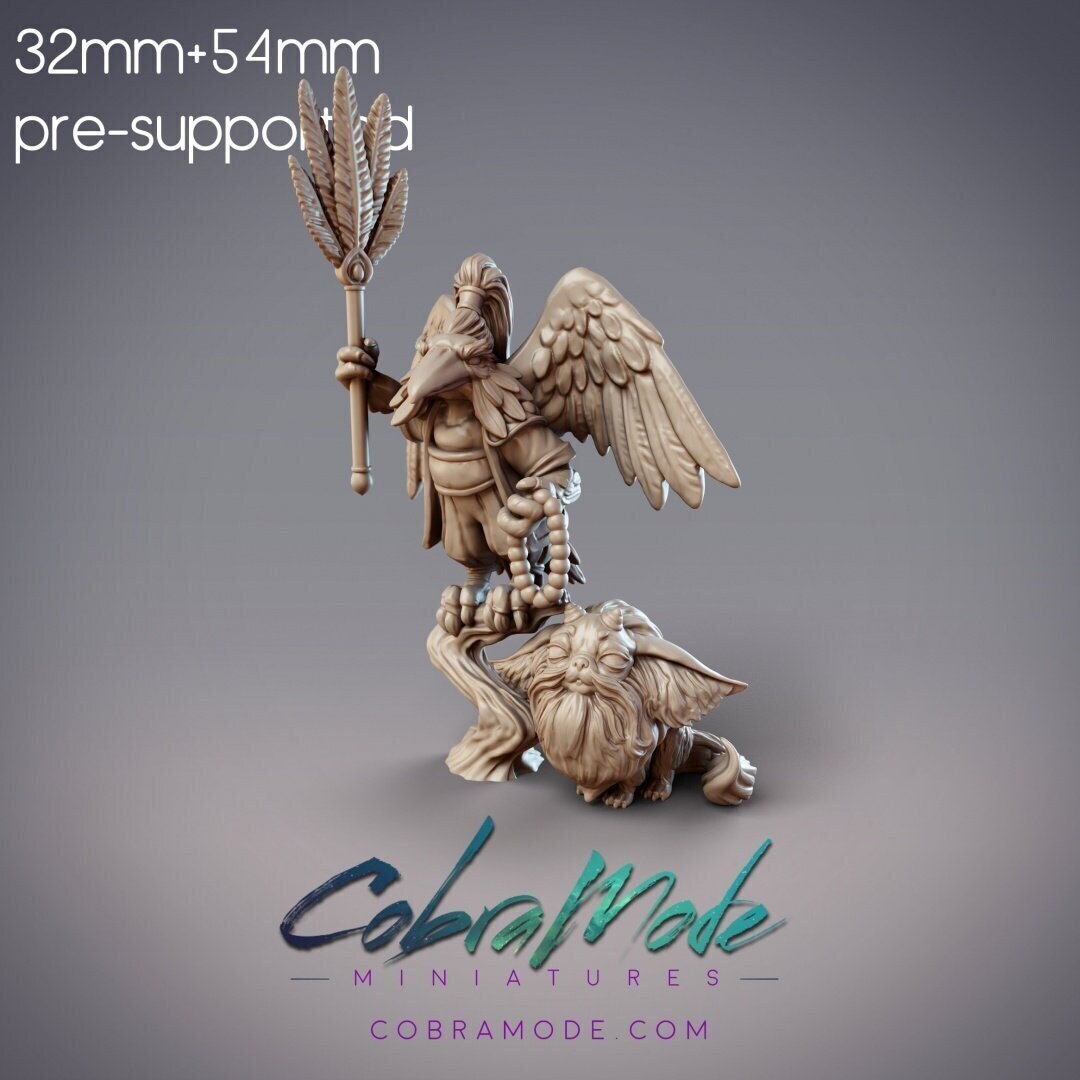 Kenku Priest Ravenfolk Wizard Aarakocra Mage Cleric - Etsy