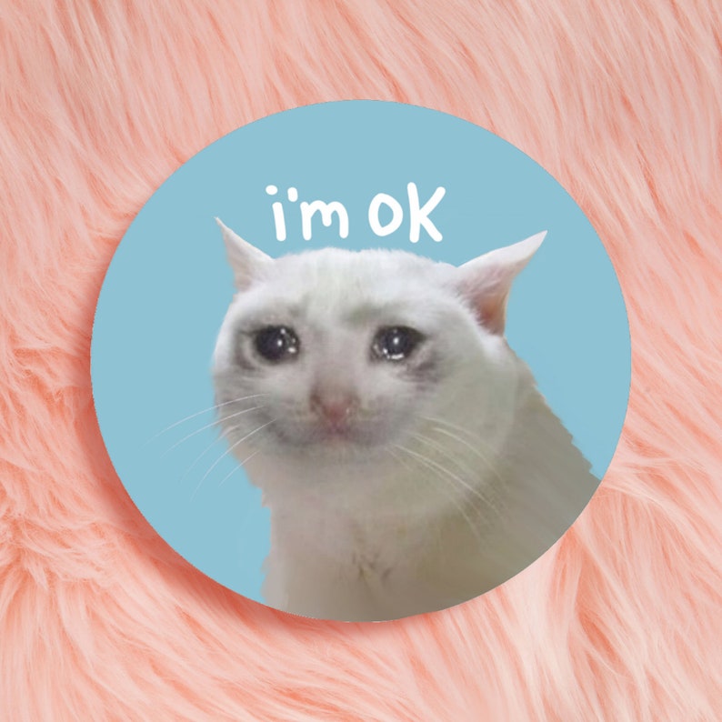 Crying Meme Cat i'm Ok Handmade Button - Etsy