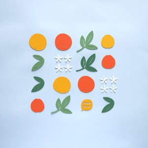 Orange Confetti Little Cutie First Birthday, Clementine Party Decor ...
