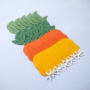 Orange Confetti Little Cutie First Birthday, Clementine Party Decor ...