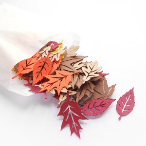 Autumn Leaves Confetti for Table Scatter, Scrapbook, Bullet Journal ...