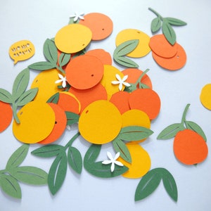 Orange Confetti Little Cutie First Birthday, Clementine Party Decor ...