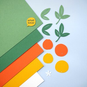 Orange Confetti Little Cutie First Birthday, Clementine Party Decor ...