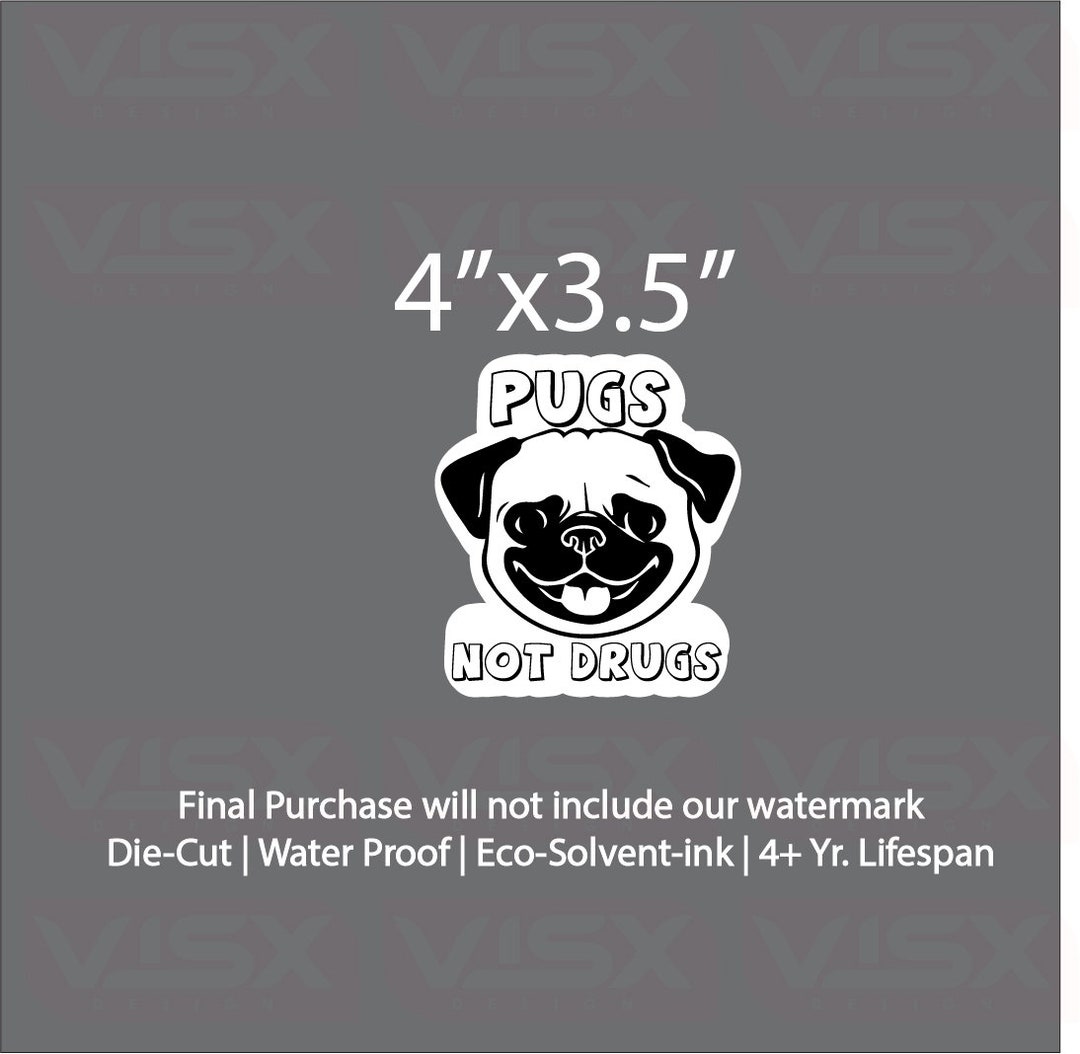 Pugs Not Drugs Meme Funny Car Bumper Sticker Interior or Exterior JDM ...