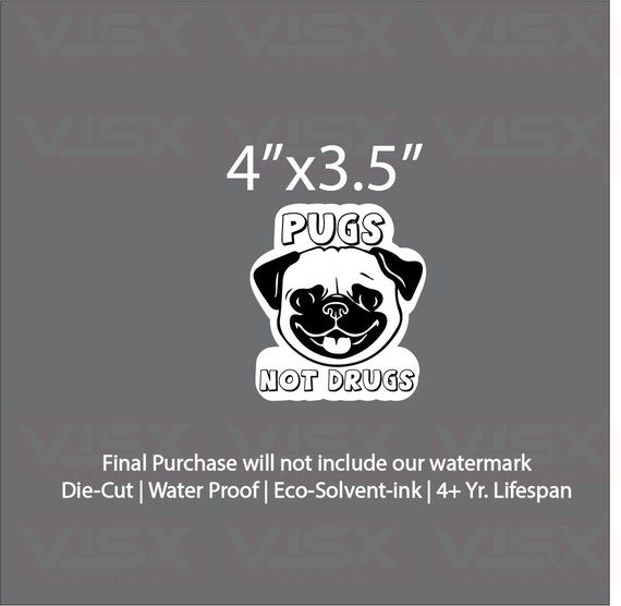 Pugs Not Drugs Meme Funny Car Bumper Sticker Interior or - Etsy