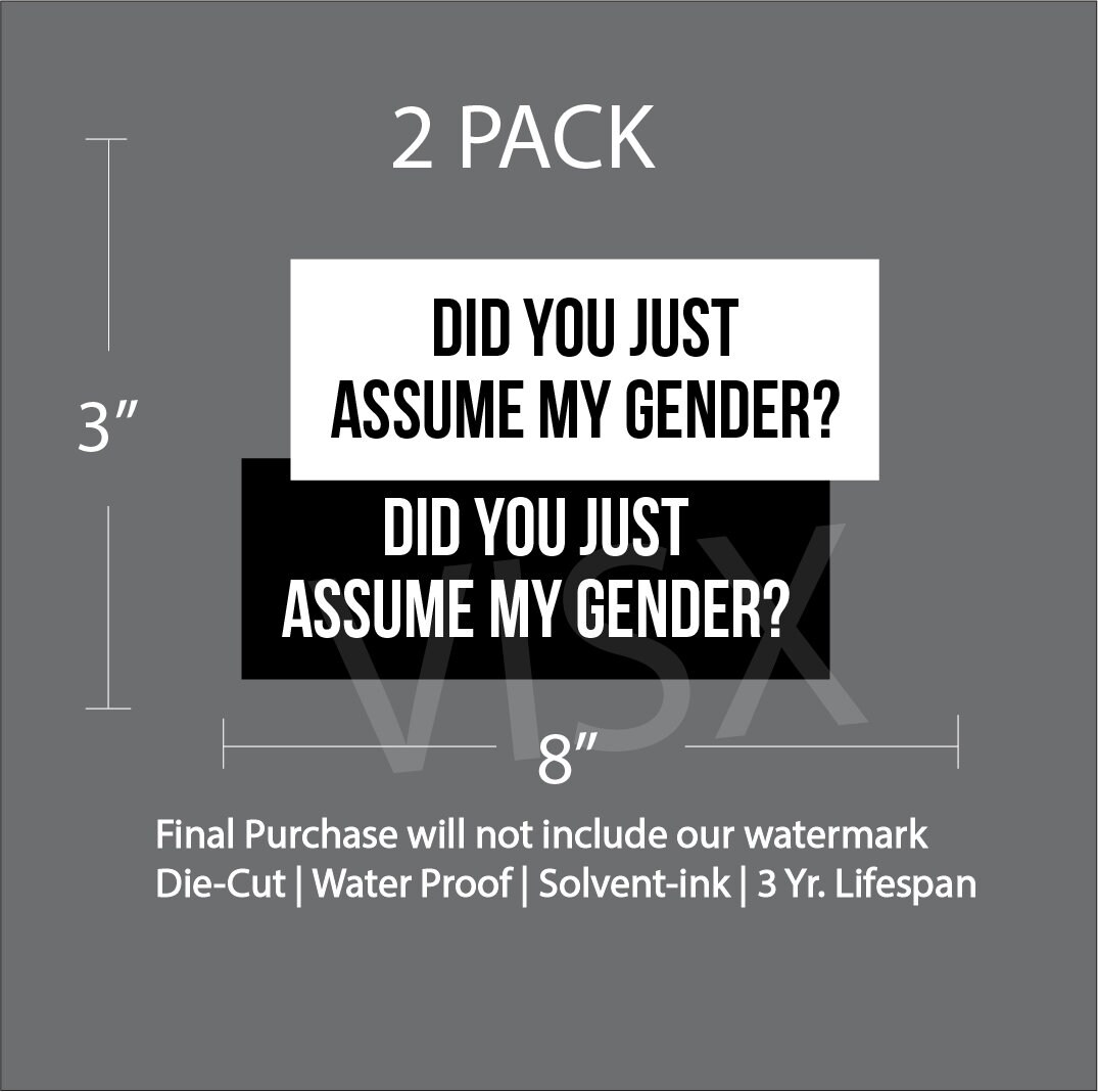 Did You Just Assume My Gender Bumper Sticker Interior Exterior - Etsy ...