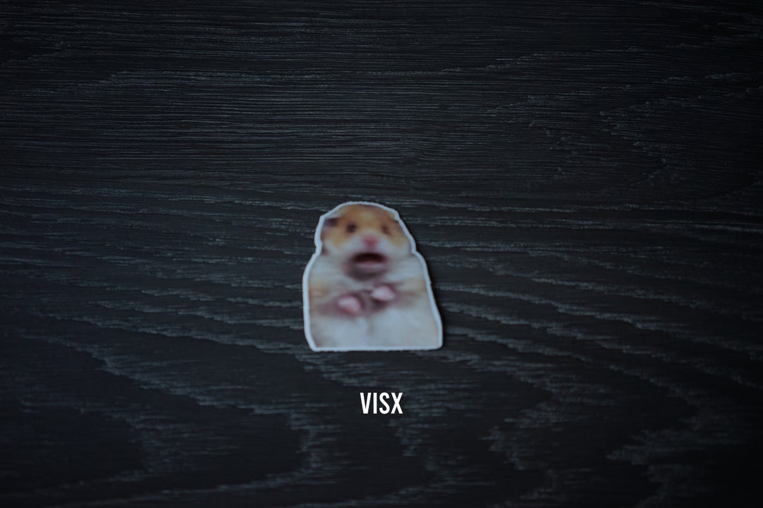 Surprised Shock Hamster Meme Funny Car Bumper Sticker Interior or ...