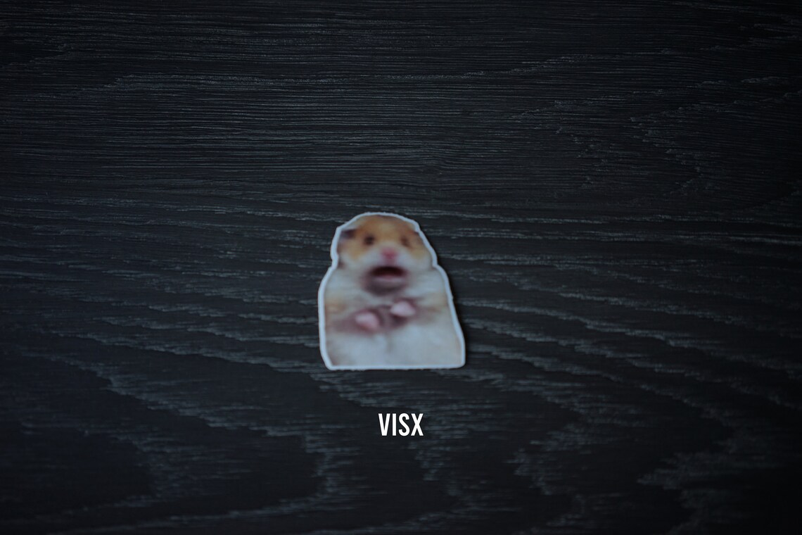 Surprised Shock Hamster Meme Funny Car Bumper Sticker Interior - Etsy