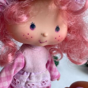 Raspberry Tart With Rhubarb Pet Strawberry Shortcake Friend - Etsy