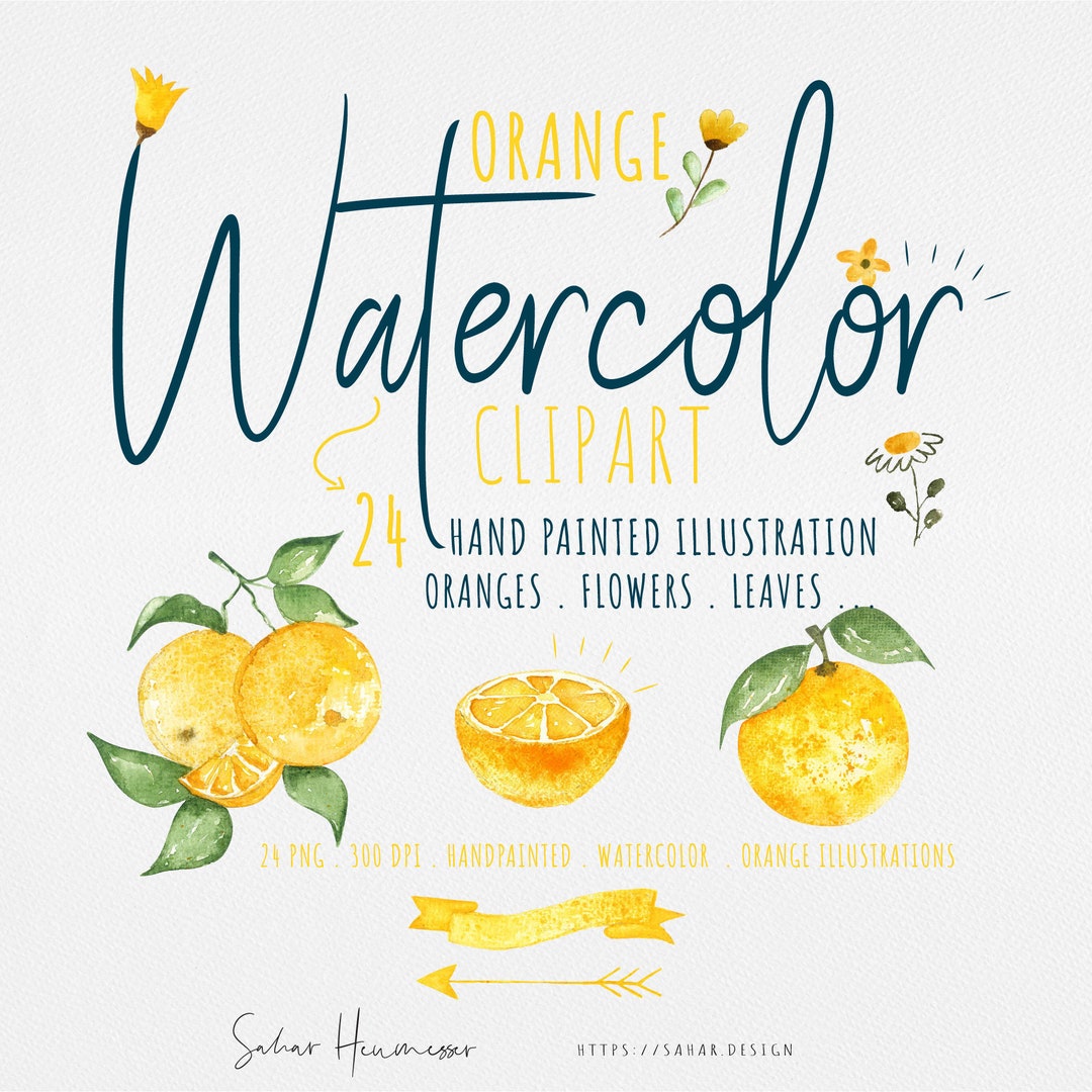 Orange Watercolor Clipart: Hand-painted Fruit Illustrations (PNG) - Etsy