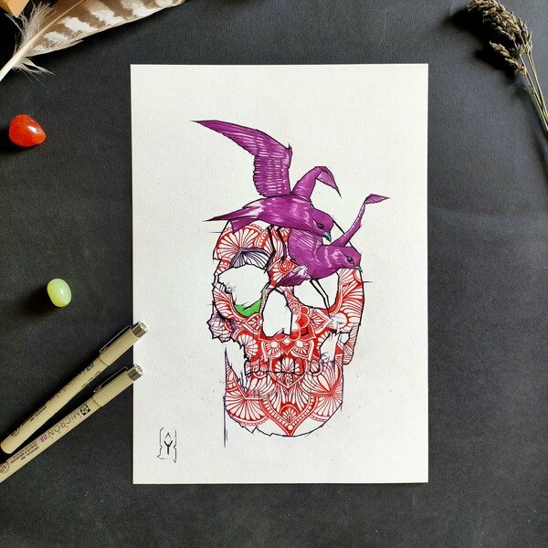 Bird Skull Drawing - Etsy