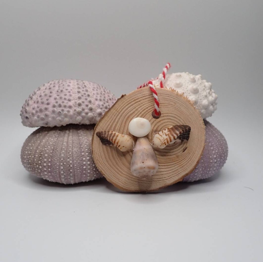 Angel Shell Ornament - Etsy
