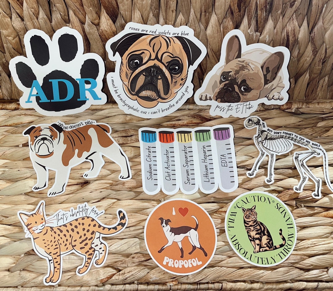Vet Med Sticker Set - Etsy
