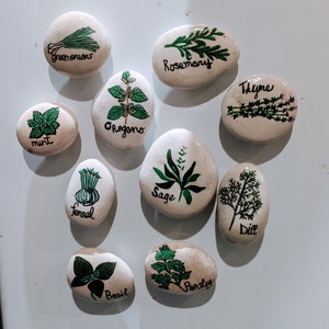 Garden Herbs Rock Magnets, Kitchen Magnets, Perfect Gift for Gardener ...