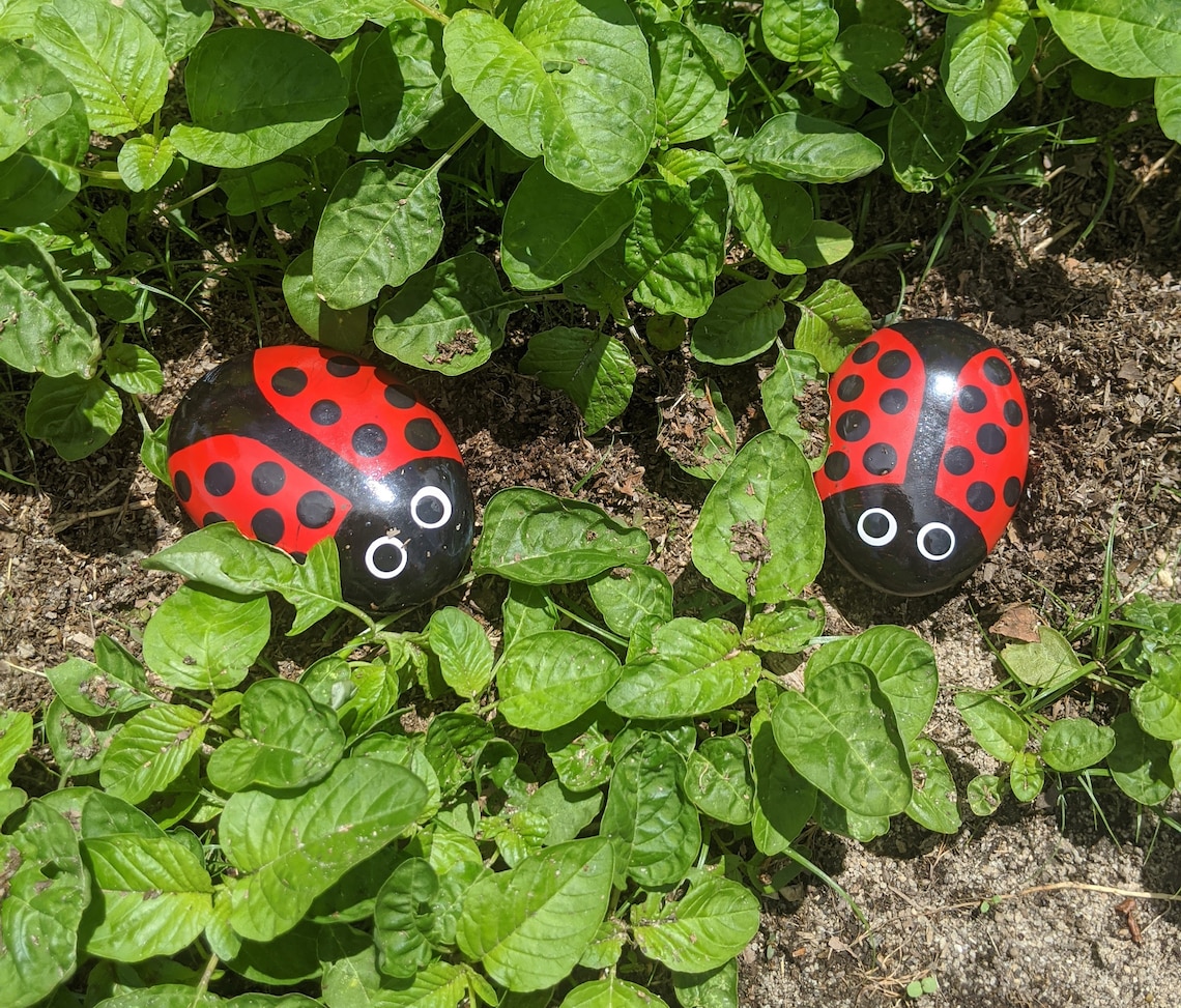 Large Lady Bug Rocks Garden Stones Home Decorner - Etsy