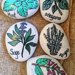 Herb Garden Stones, Painted Rock, Herb Marker, Garden Club Gift ...