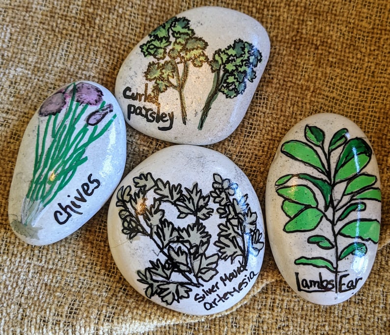 Herb Garden Stones Painted Rock Herb Marker Garden Club - Etsy