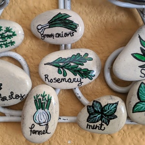 Garden Herbs Rock Magnets, Kitchen Magnets, Perfect Gift for Gardener ...