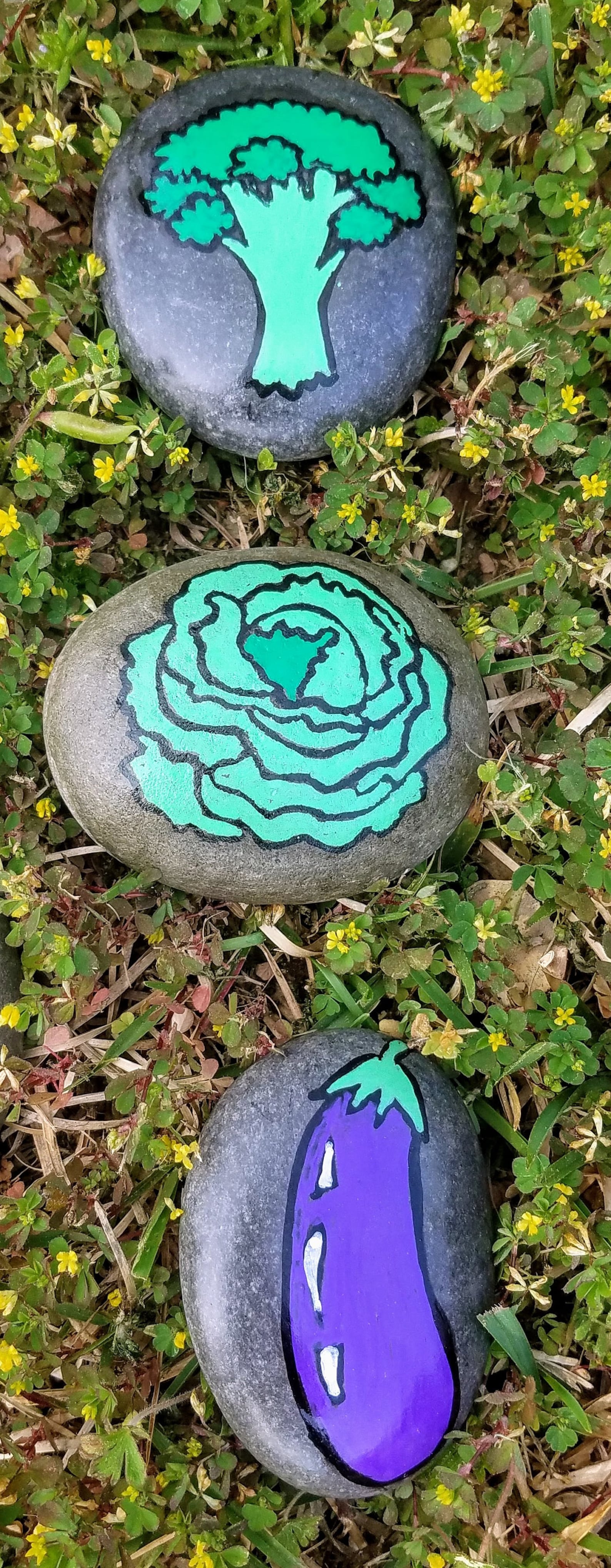 Hand-painted Vegetable Garden Stones Vegetable Markers - Etsy