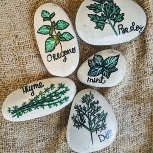 Garden Herbs Rock Magnets, Kitchen Magnets, Perfect Gift for Gardener ...