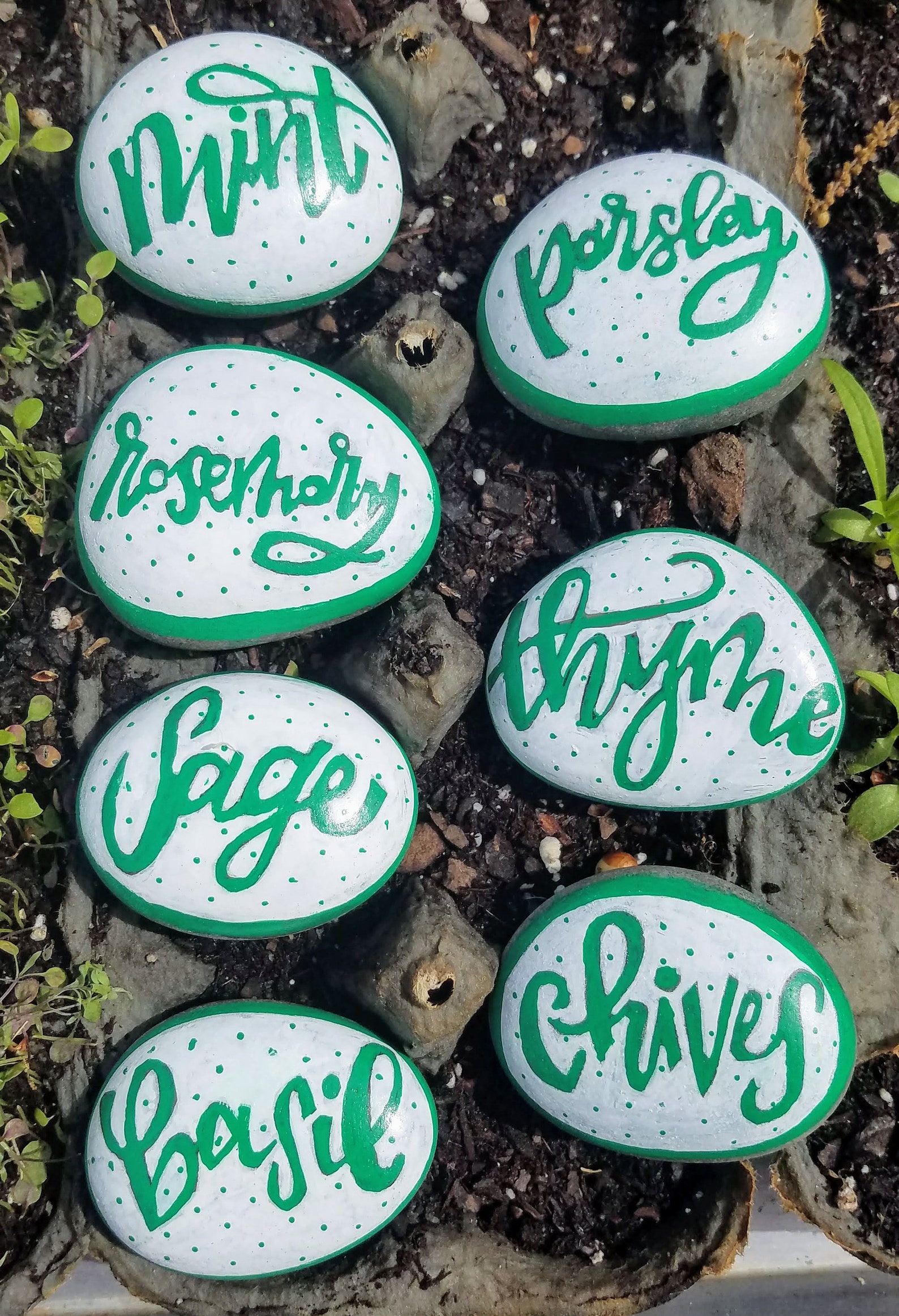 Herb Garden Stones Painted Rock Herb Marker Garden Club - Etsy