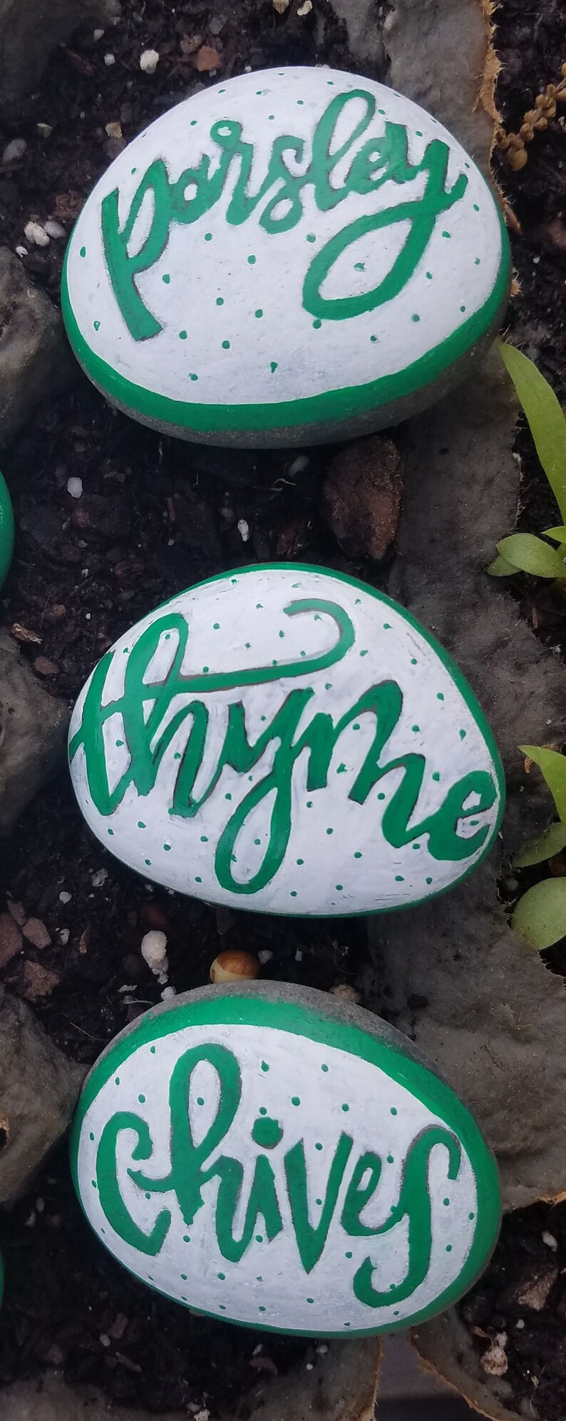 Herb Garden Stones Painted Rock Herb Marker Garden Club - Etsy